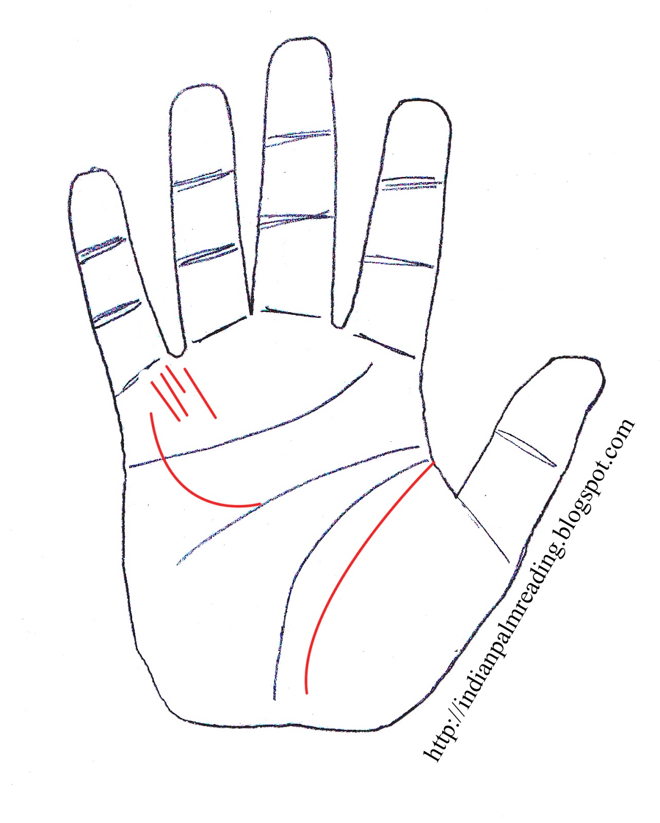 Sign Of Doctor In Palmistry ~ INDIAN PALMISTRY | PALM READING | HAST ...