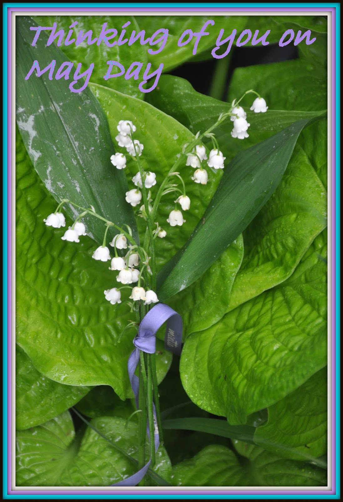 Vicki Lane Mysteries: Flowers for May Day -- And a Reminder