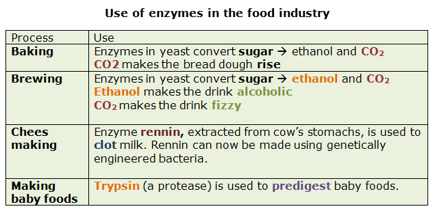 25 Use Of Enzymes In The Food Industry Biology Notes For Igcse 2014 And 2024