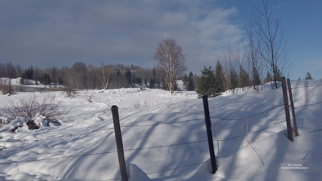 Trail Warfield Rossland