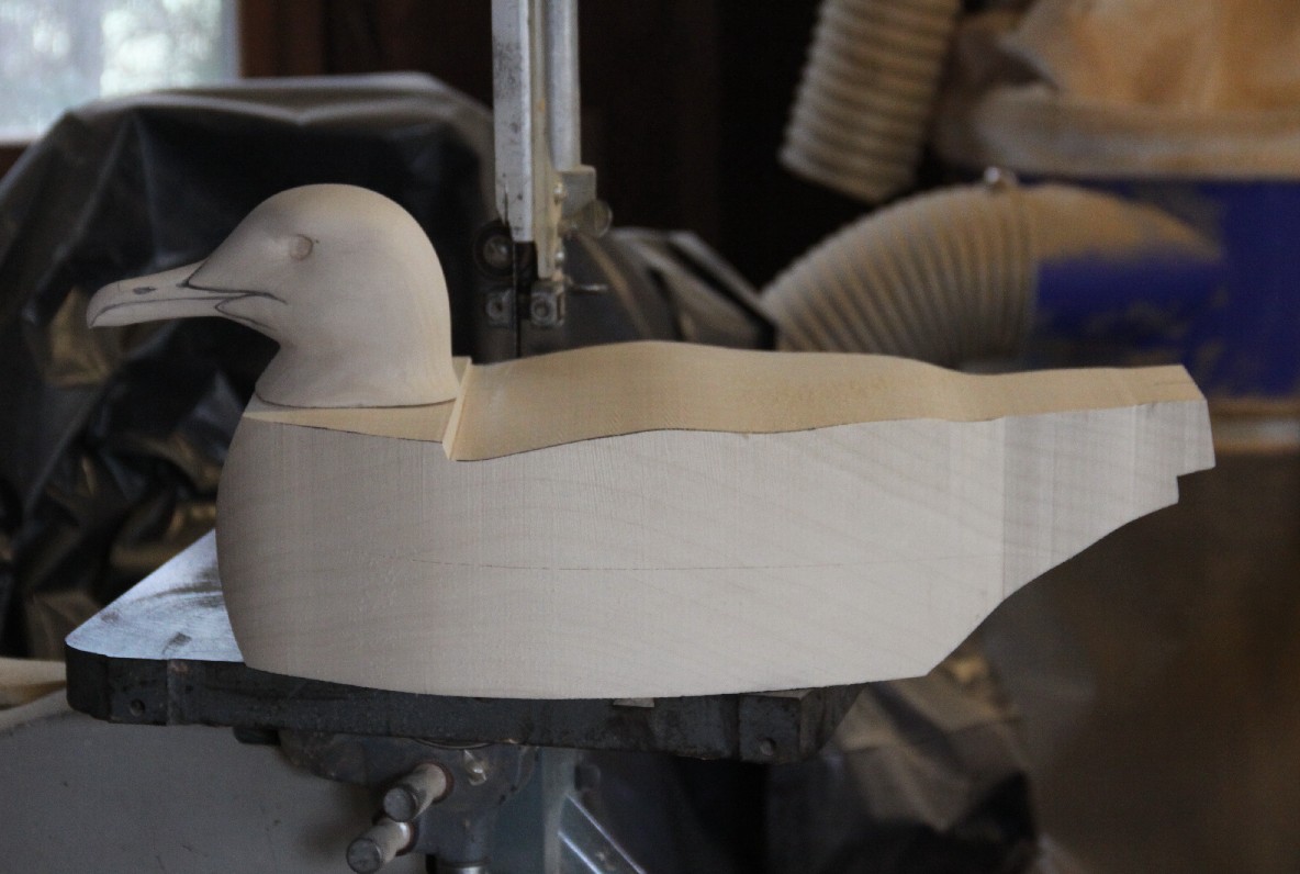 New England Coastal Birds: The Great White-winged Gull of the North ...