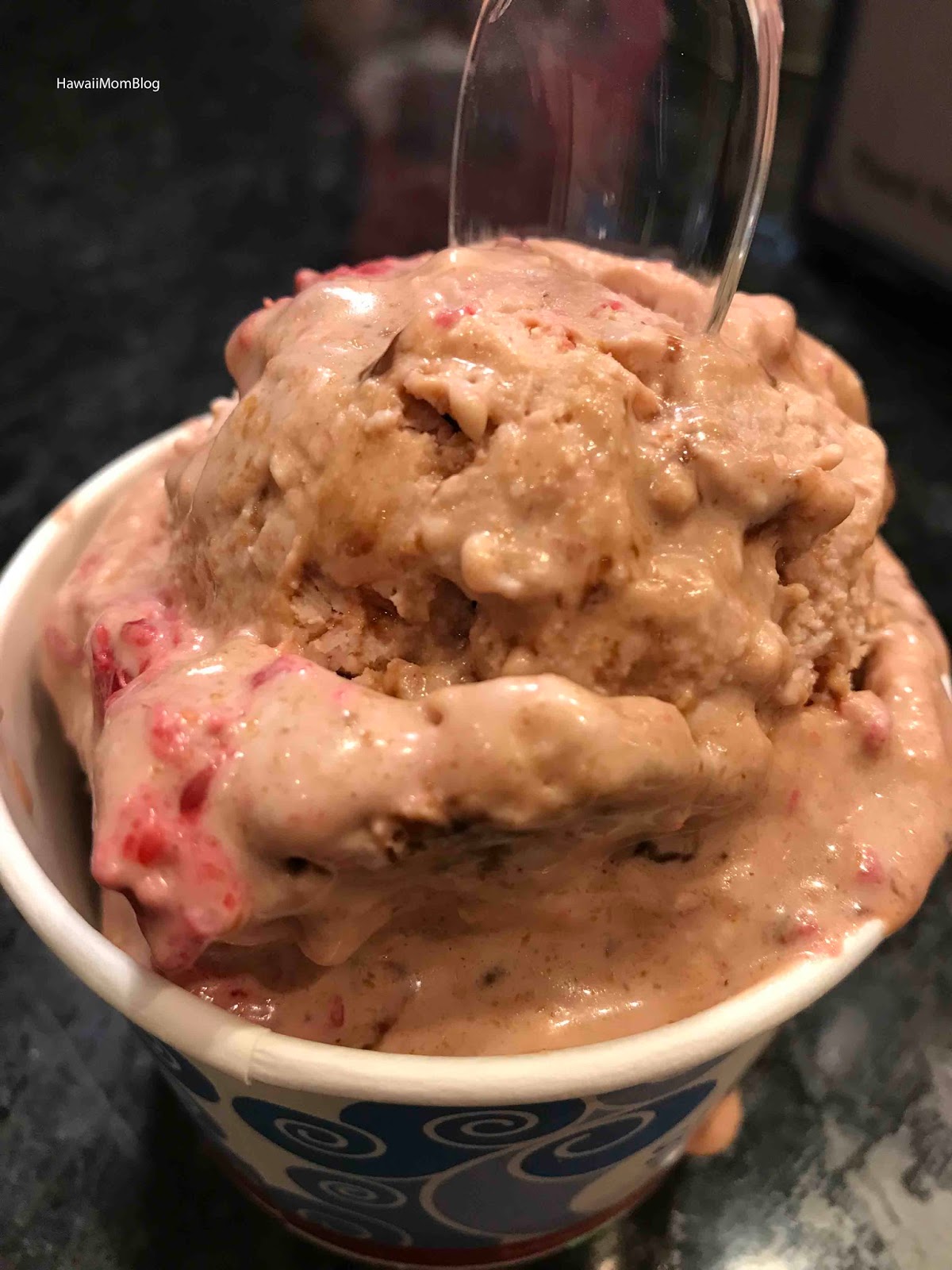 Hawaii Mom Blog: Visit Indianapolis: Sub Zero Ice Cream