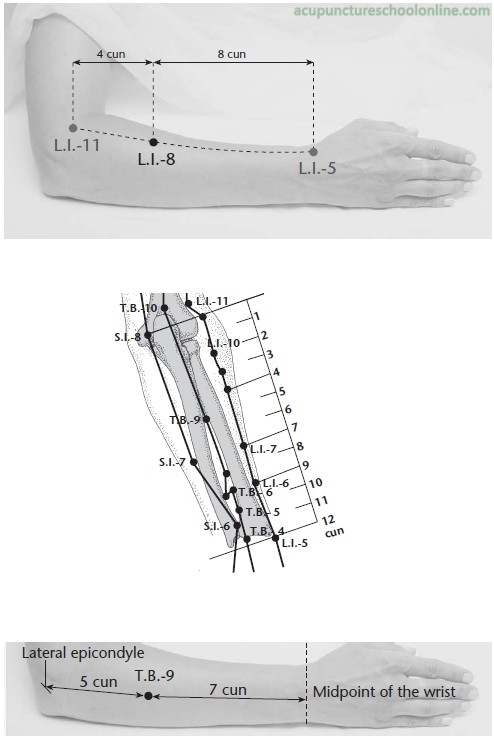 Jarum Sakti: Meridian Paru-paru & Usus Besar