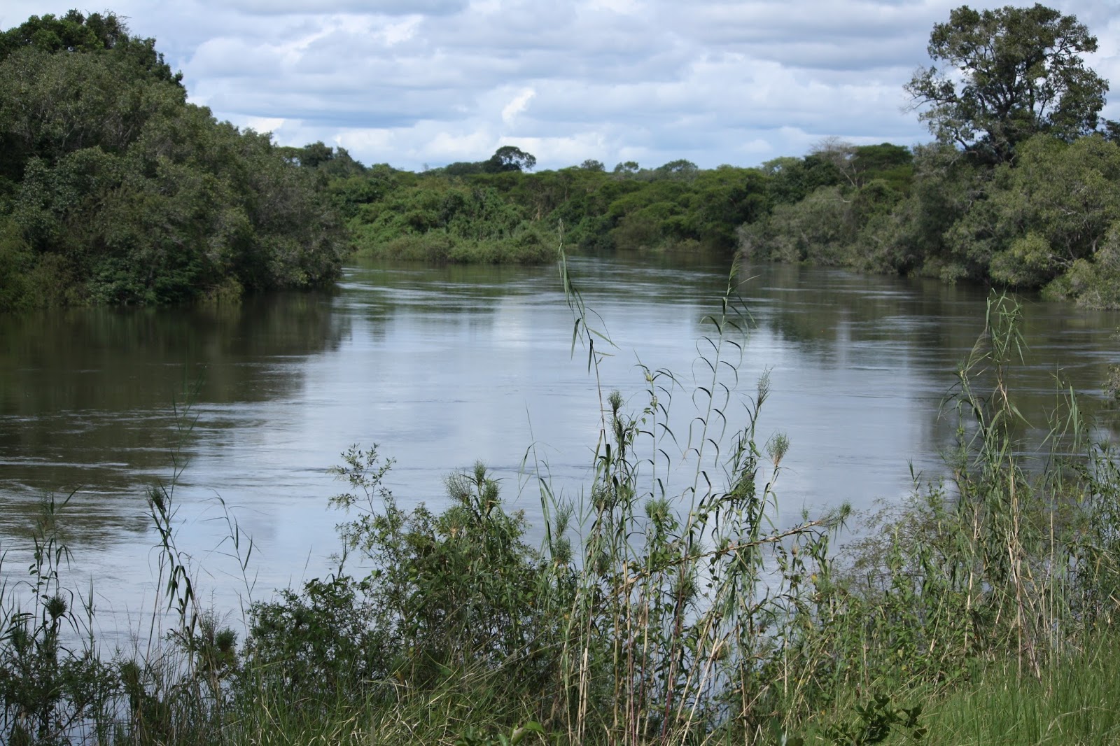 Tracking Elephants: Clean Water Not Taken For Granted in Zambia