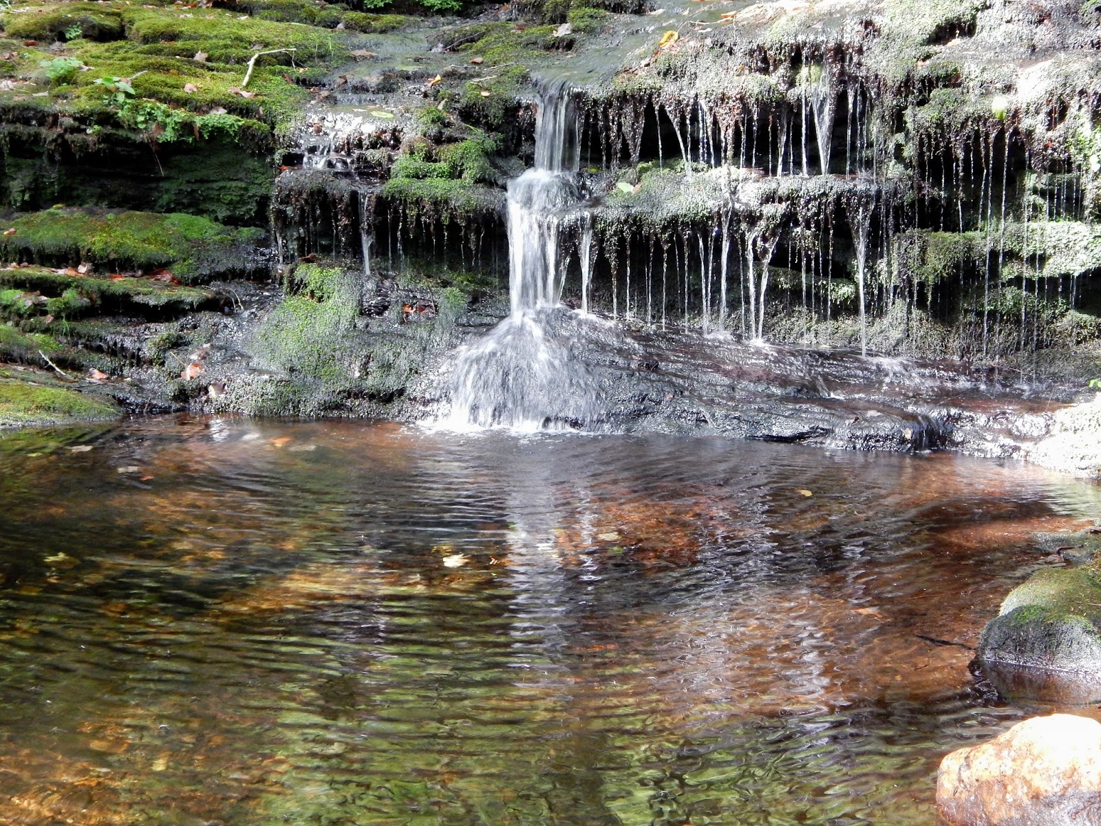 Small Stream Reflections: Two Small Streams