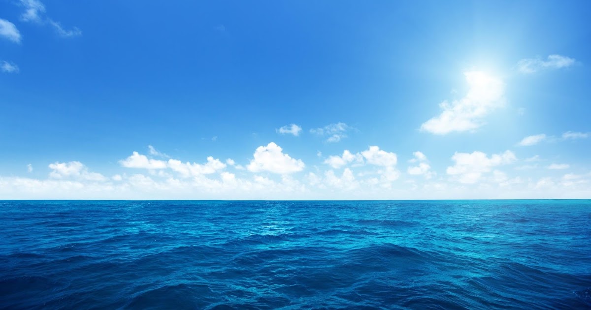 Horizonte e Mar: 16 de novembro – Dia do Mar