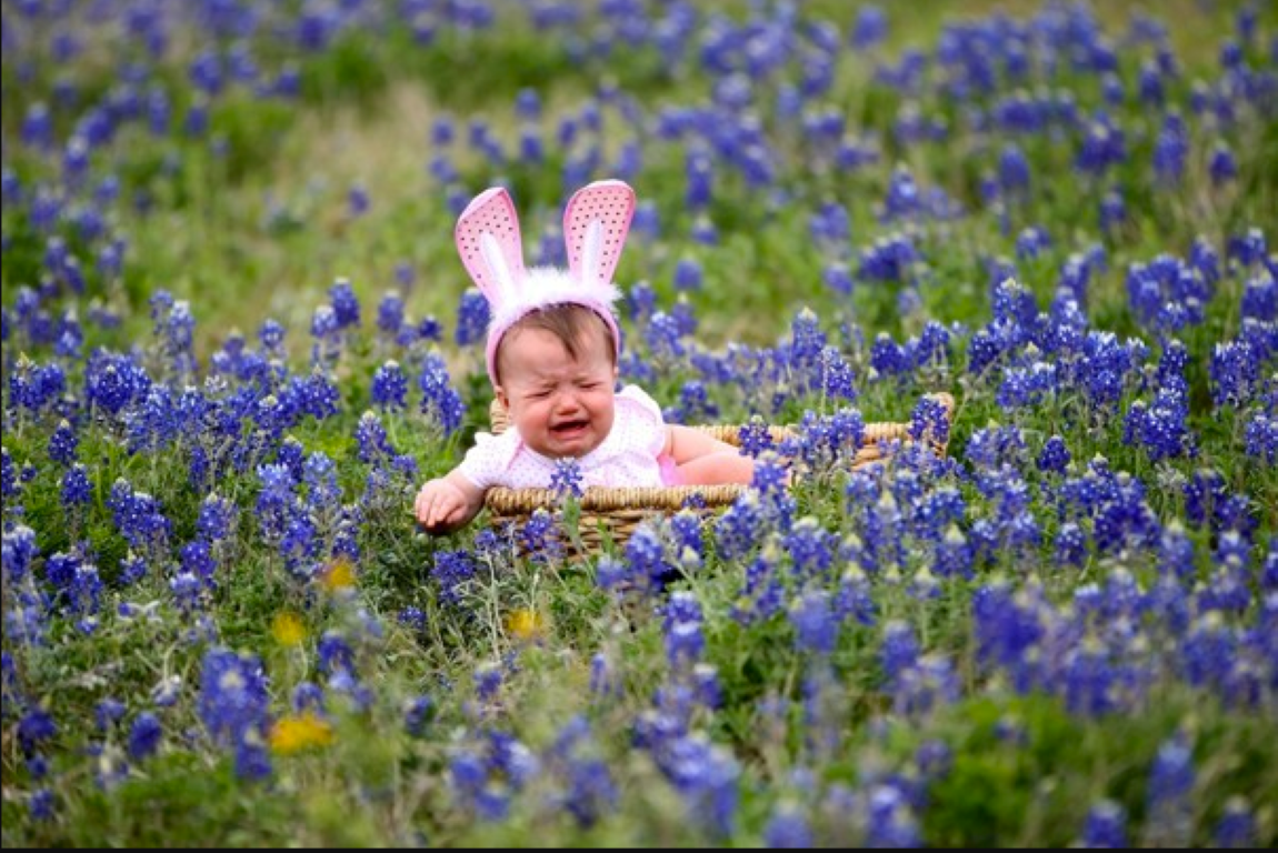 1963 Eastern Hills High School EHHS Highlanders: Quintessential Texas ...