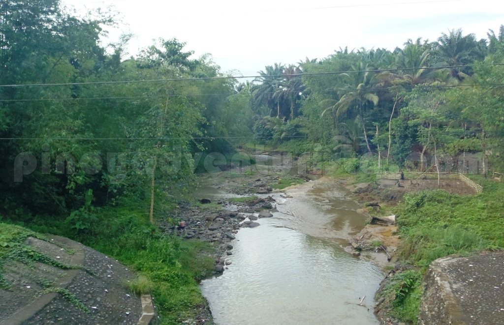 Agusan del Sur - En Route to Bunawan Ecopark and Wildlife Reservation ...