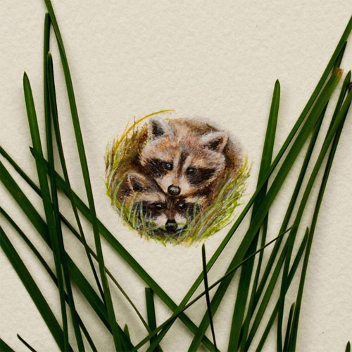 My Owl Barn: Miniature Watercolor Paintings by Rachel Beltz