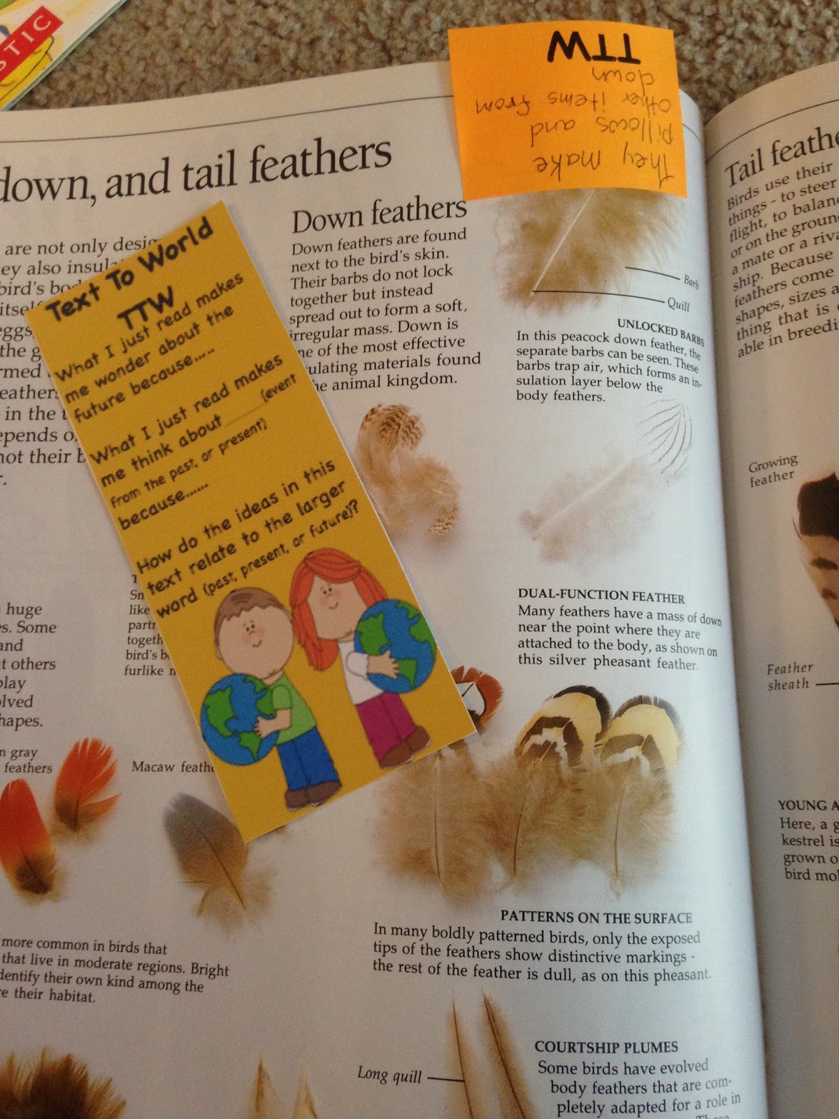 Stand Out Teaching Strategies: Making Reading Connections Through Text ...