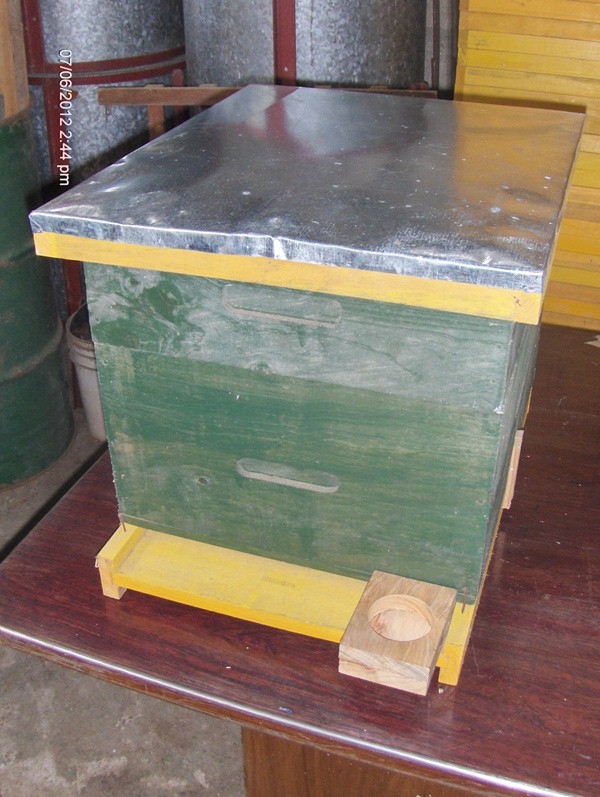 APITECNICA EN VENEZUELA.: PARTES DE LA COLMENA