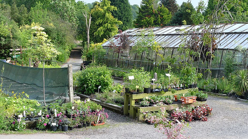 Chudleigh Rocks Nursery - Britain All Over Travel Guide