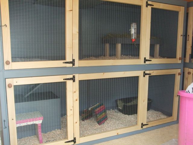 Anna Hull, Sock Bunny Maker to The World: The Bunny Maker opens ...