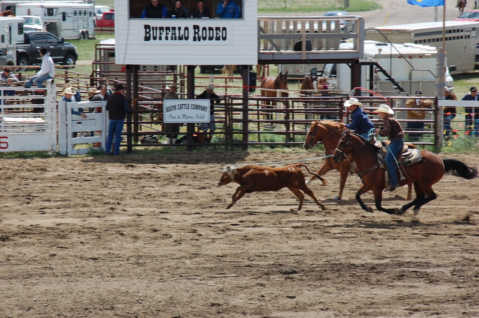 En rejsedagbog: Buffalo Rodeo