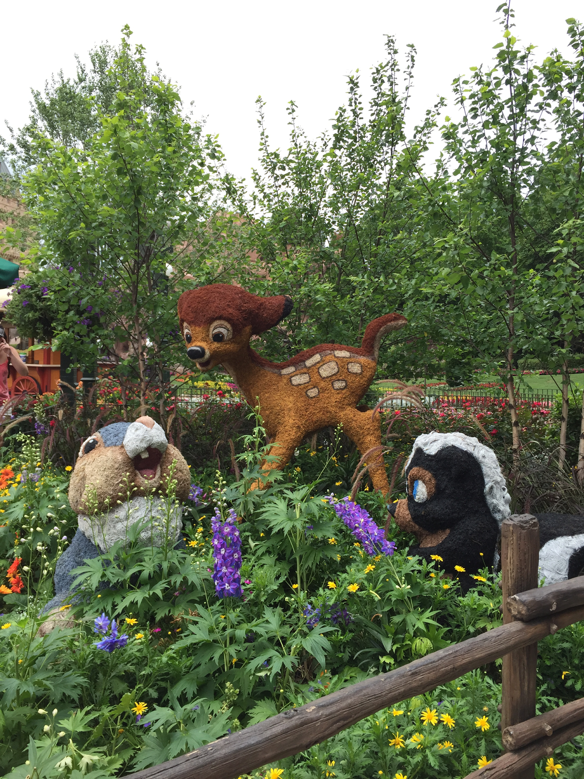 CO-Horts: Bringing Home the Magic of Disney Horticulture and a Fresh ...