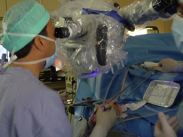 GABRIEL VARGAS GRAU NEUROCIRUGIA BUCARAMANGA (COLOMBIA): TRAINING ...