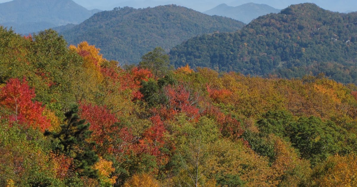 Femme au foyer: Fall Colors in the Upstate SC and Vicinity