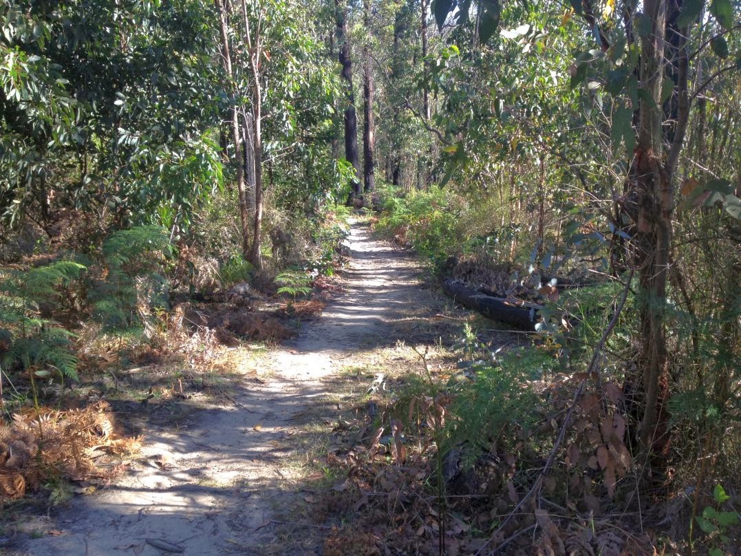 Trails and Tracks: Mason Falls Circuit, Kinglake National Park ...