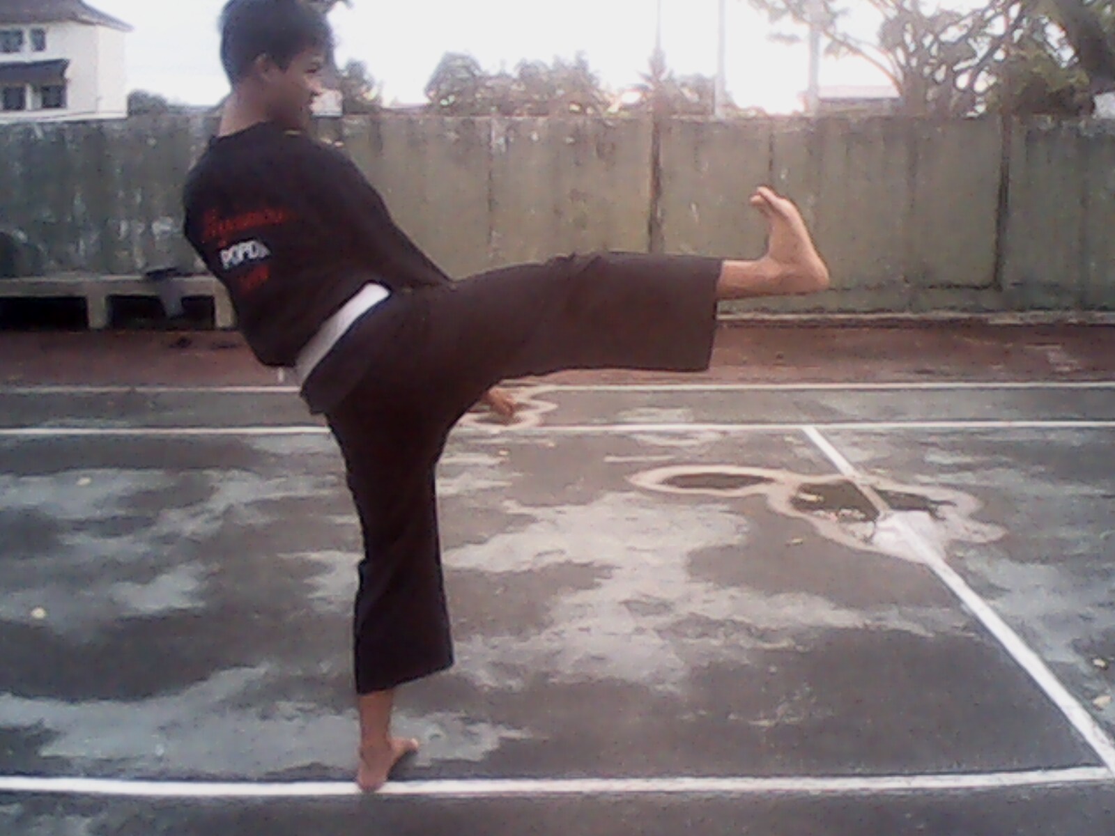 silat: serangan