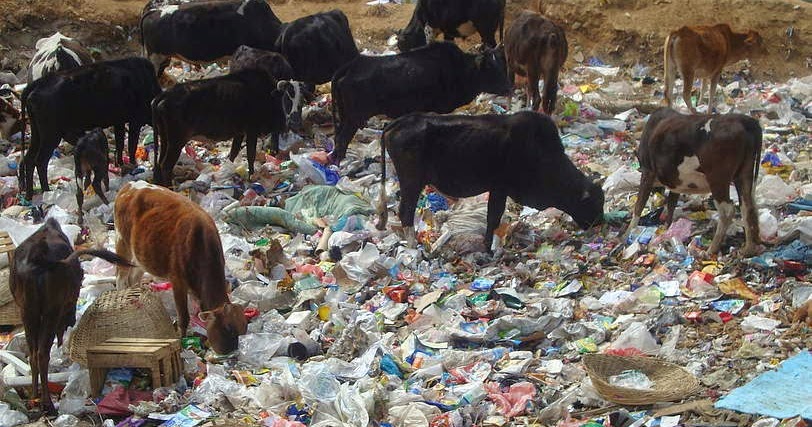 Waste Problems in Bhutan