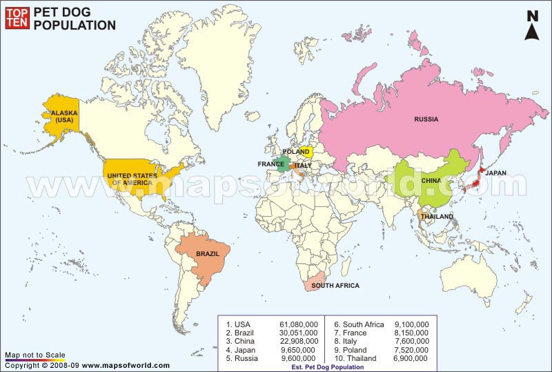 Findmydog dog gps tracker