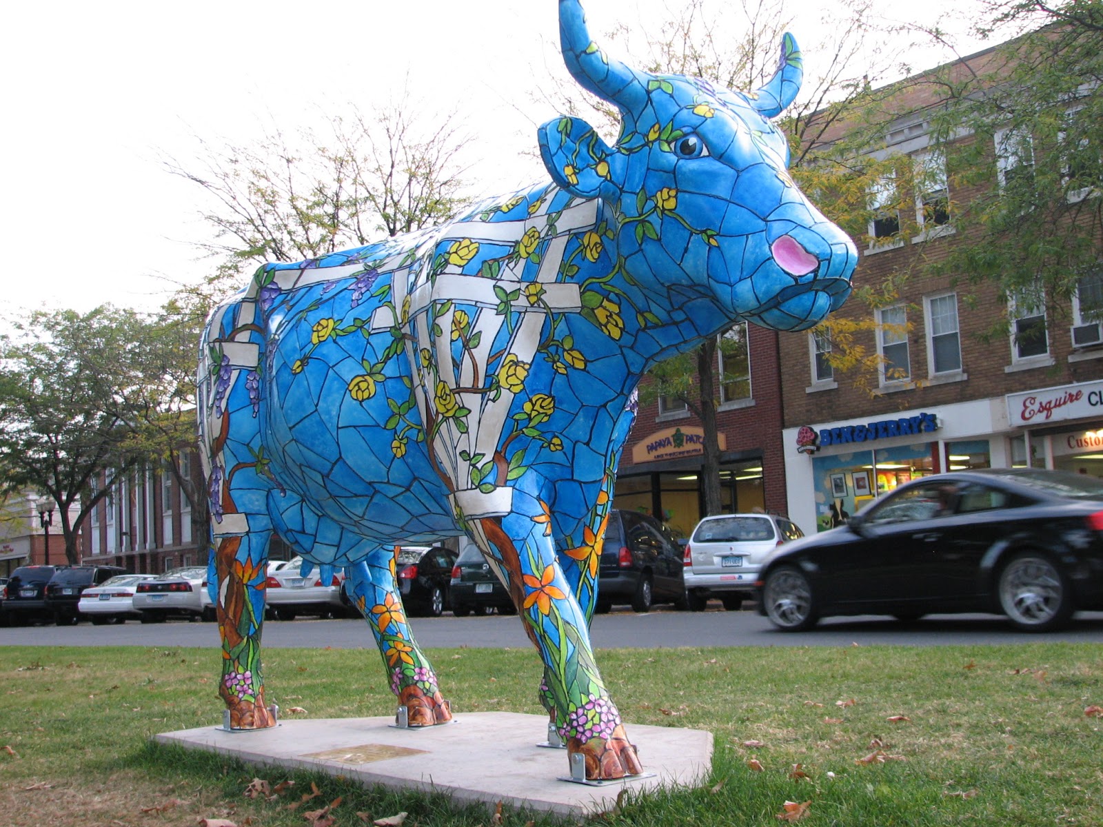 Gone Golf'in or Gone Photograph'in: The Cows of West Hartford