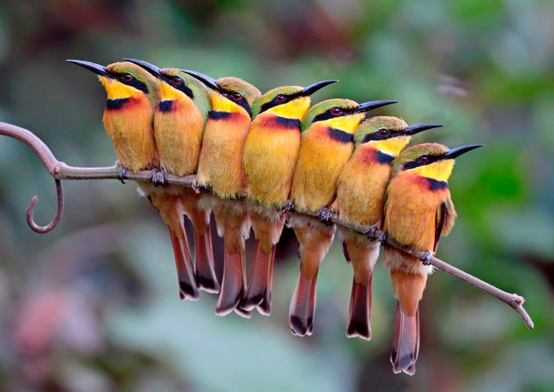 Beautiful World : Fresh Collection of Funny and Amazing Pics