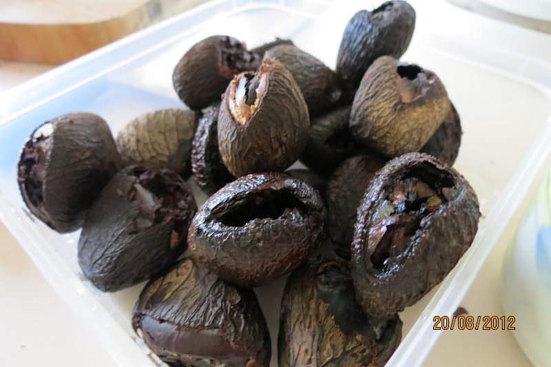 JENCOOKS: TRUST NEEDED TO EAT AYAM BUAH KELUAK