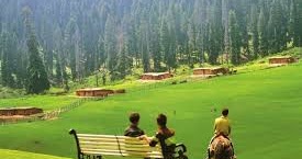 History of Jammu and Kashmir: The Battle of Badgam