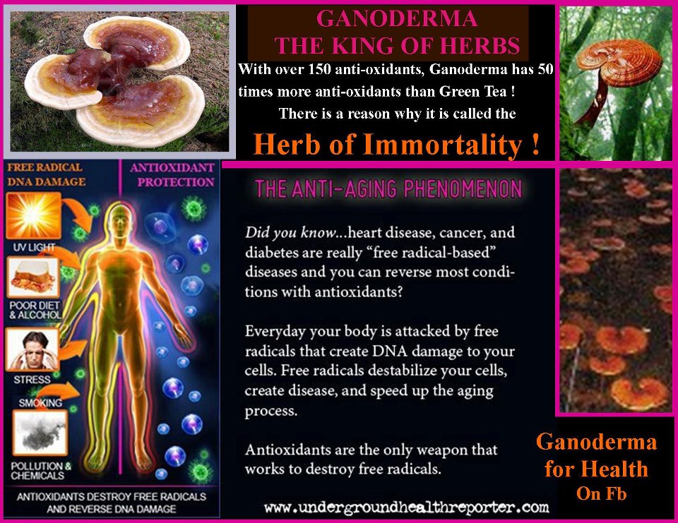 DXN : The King Of Herbs & Its Benefits