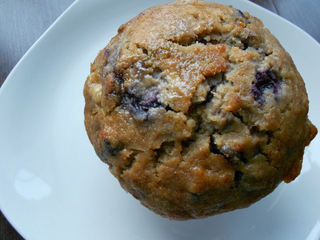 Snacking Squirrel: Banana Blueberry Chocolate Chip Muffin