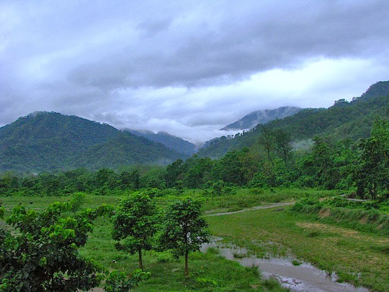 Dooars Ecoviillege: Dooars Travel a Land That Loads You with the Gifts ...