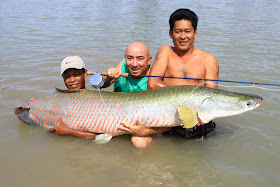Arapaima Record