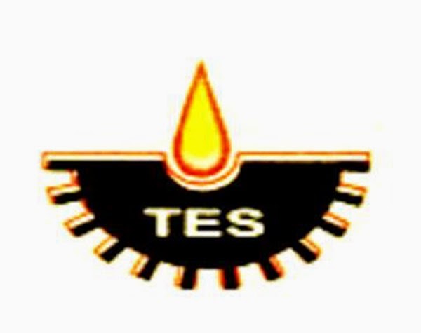 Torch Energy Services (TES)