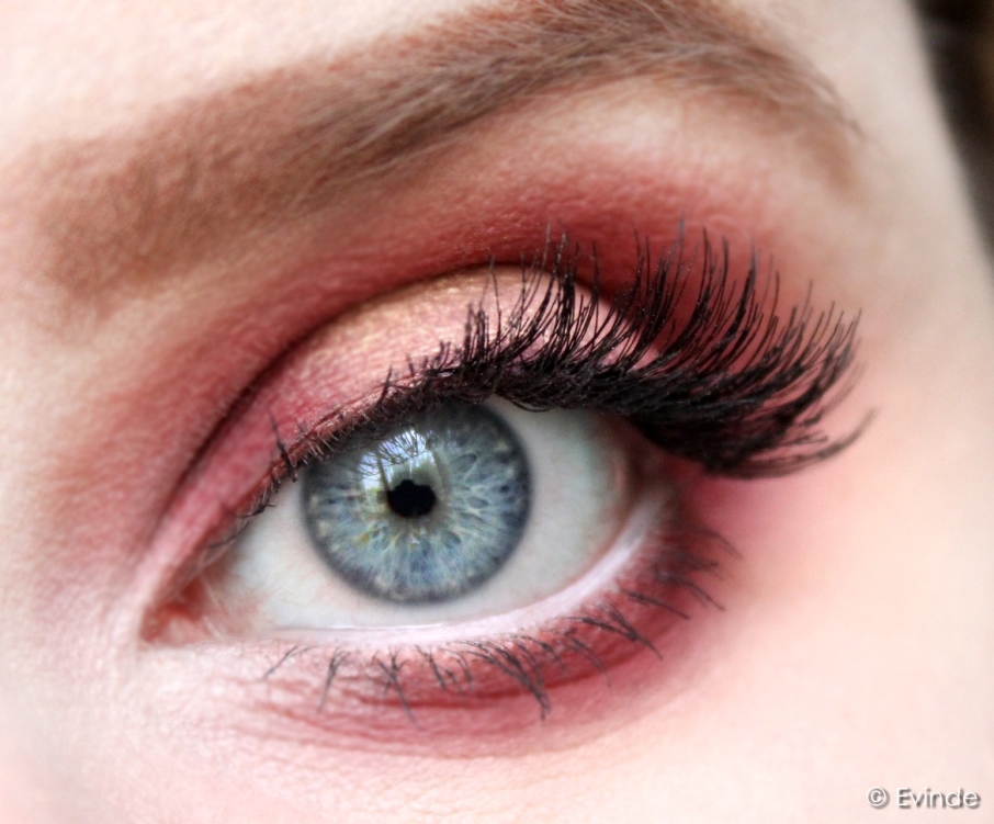 Berry Glam Eye Look | Colourpop She Palette | Evinde's Beauty Stash