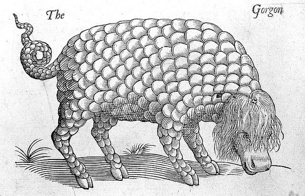 El grimorio de bestias: Catoblepas