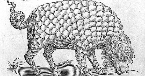 El grimorio de bestias: Catoblepas