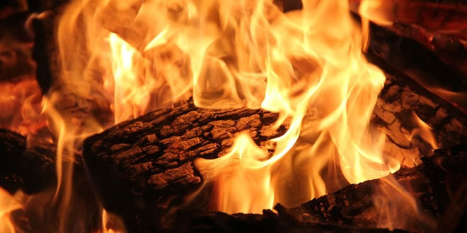 Team Phoenix: Combustão