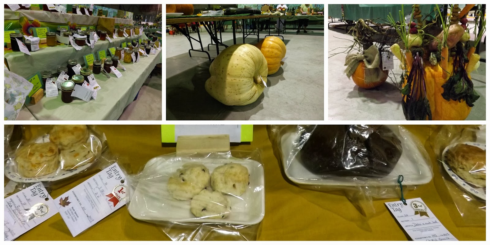 "Just North of Wiarton & South of the Checkerboard": Behind The Scenes ...