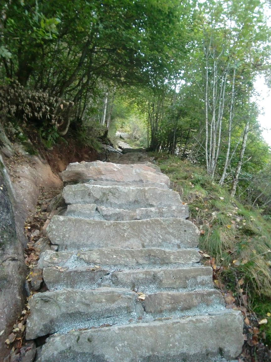 Tine sin blogg - litteratur, kultur og tur: Har snik-løpt opp Stoltzen ...