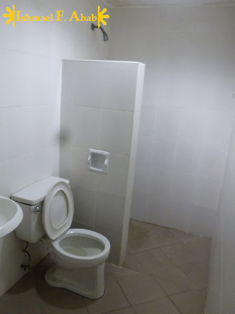 Filipino Sojourner: January 2017