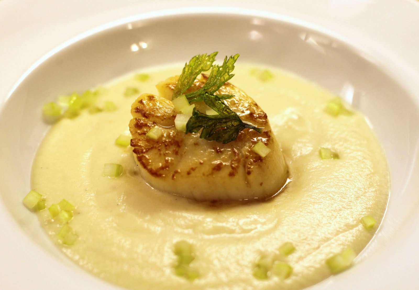 Emily's Culinary Adventures: Mmmm... Scallops...