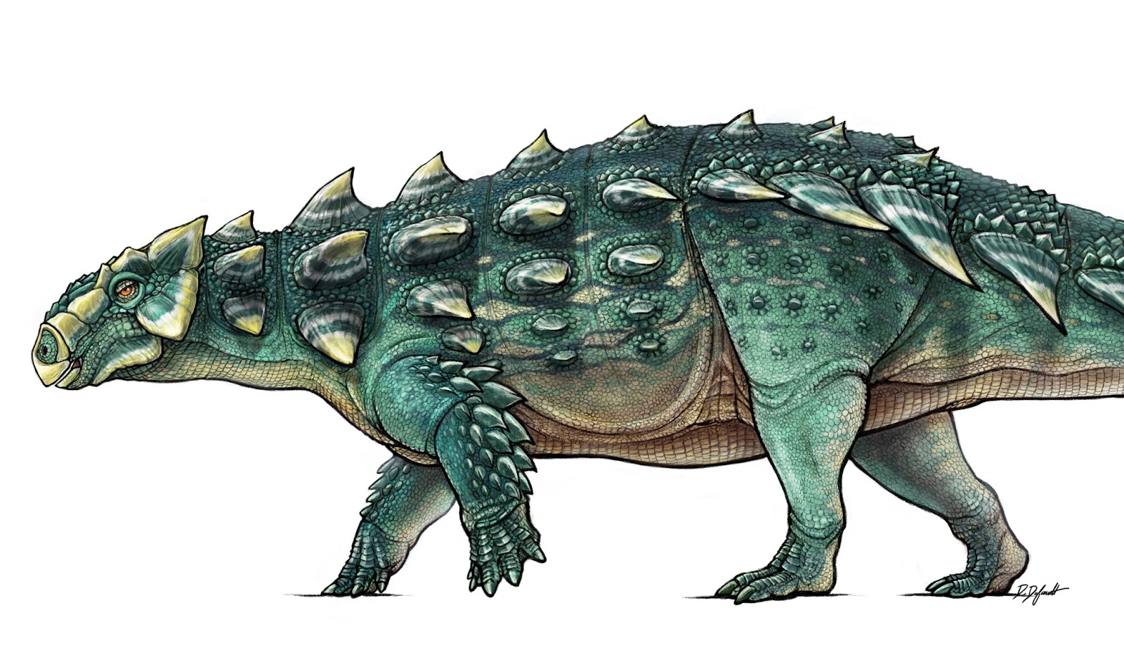 Species New to Science: [Paleontology • 2017] Zuul crurivastator • A ...