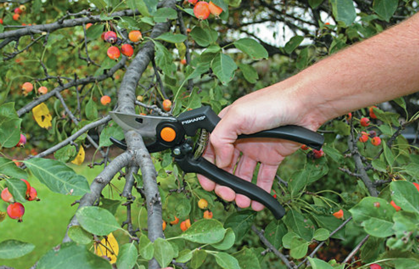 Foarfece de grădină - Gardena sau Fiskars?