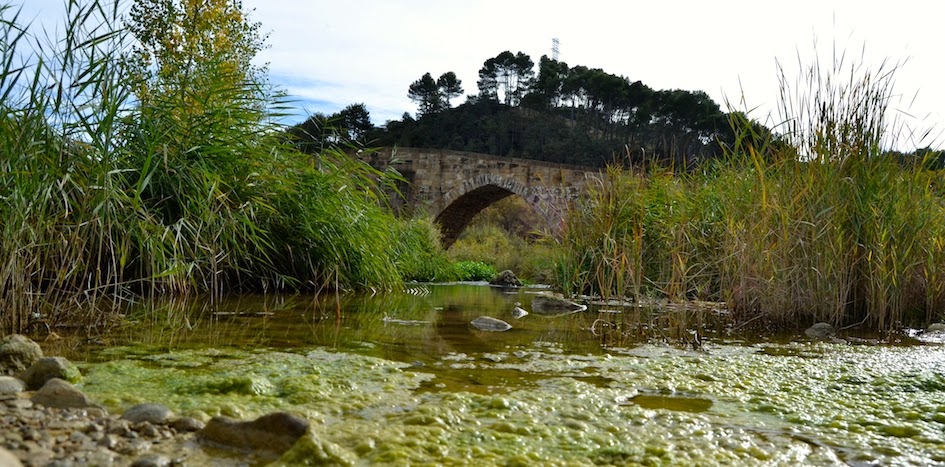 El Camino de Santiago desde Asturias: "Puente sobre el río Salado"