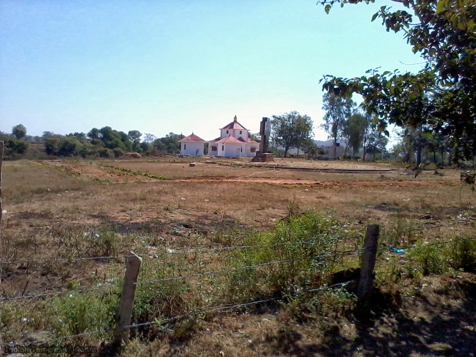 Pillalamarri Banyan Tree in Mahabubnagar - Indian Temples List