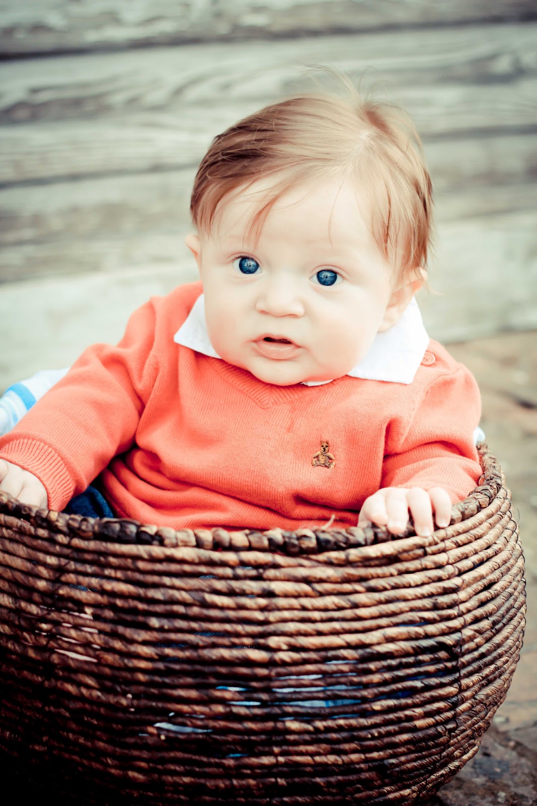 A. Leigh Photography: the crail family {new braunfels, tx family ...