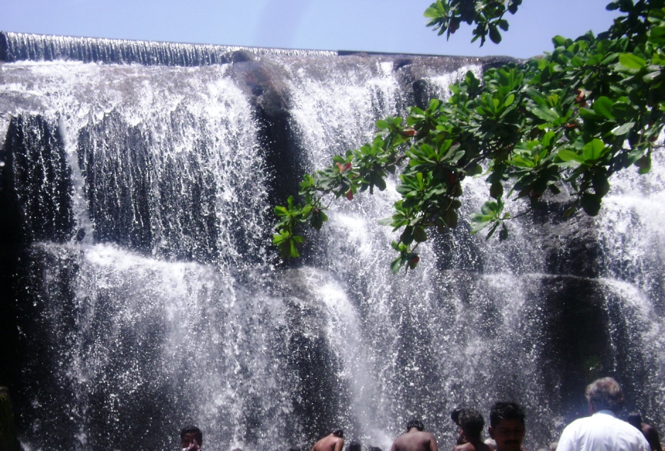 Tirparappu Water Falls: Falls Image