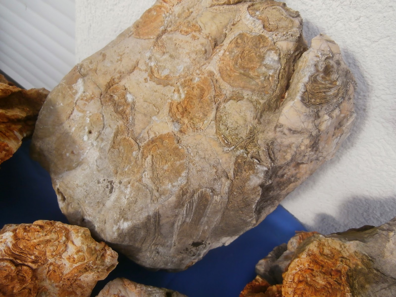 HERCEGOVINA-GEOARHEO: KOD SLIPČIĆA, JUŽNO OD MOSTARA, OTKRIVENO CARSTVO ...