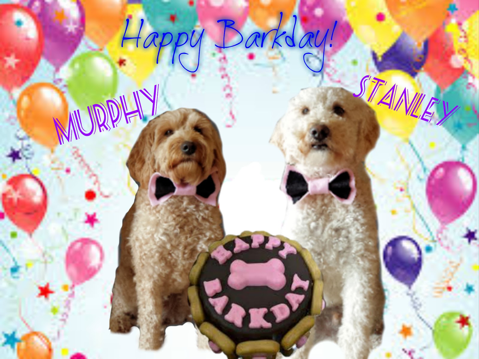 Ruby the Airedale: Happy Barkday to the DOODS!